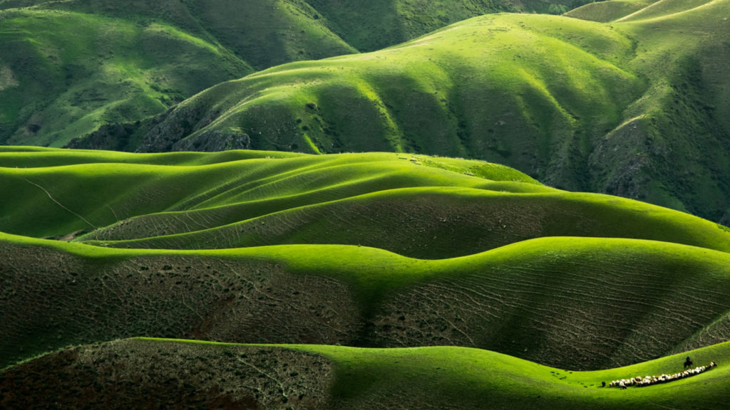 Earth 300 I A Global Environmental Multidisciplinary Initiative