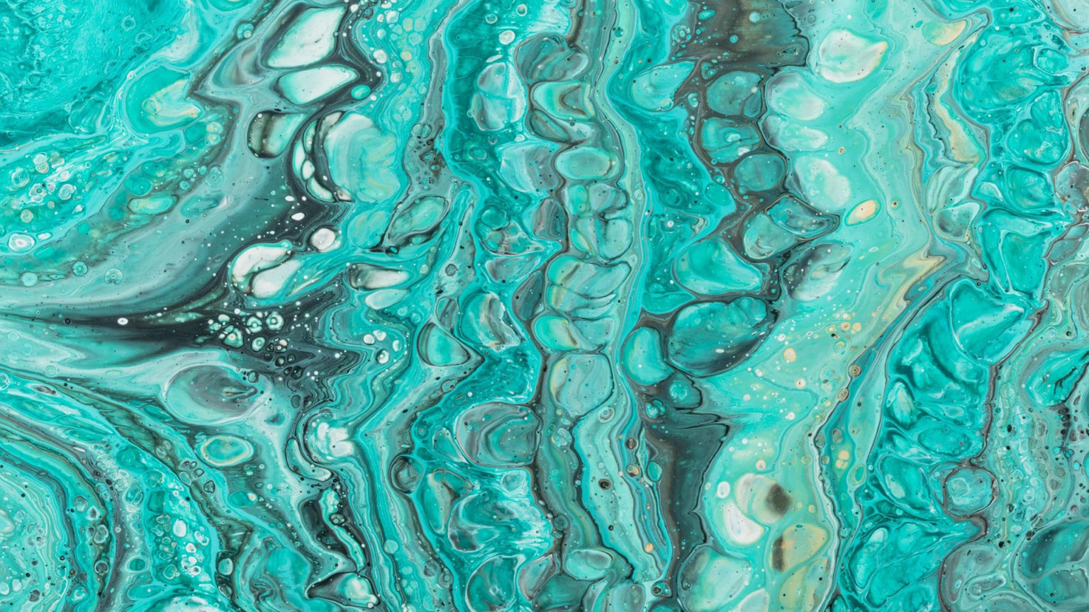 Earth 300 I A Global Environmental Multidisciplinary Initiative